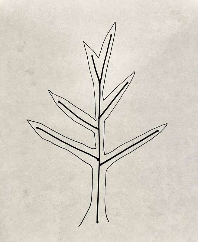 Embracing Growth: Lessons from Trees - Arbor Aesthetics Tree Service ...