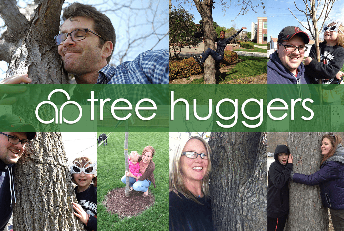 Omaha Tree Huggers - Arbor Aesthetics Tree Service - Omaha Tree ...