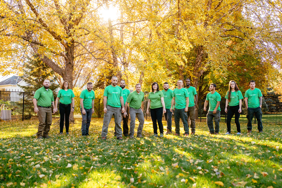 Best of Omaha Winner 2019 - Arbor Aesthetics Tree Service - Omaha Tree ...