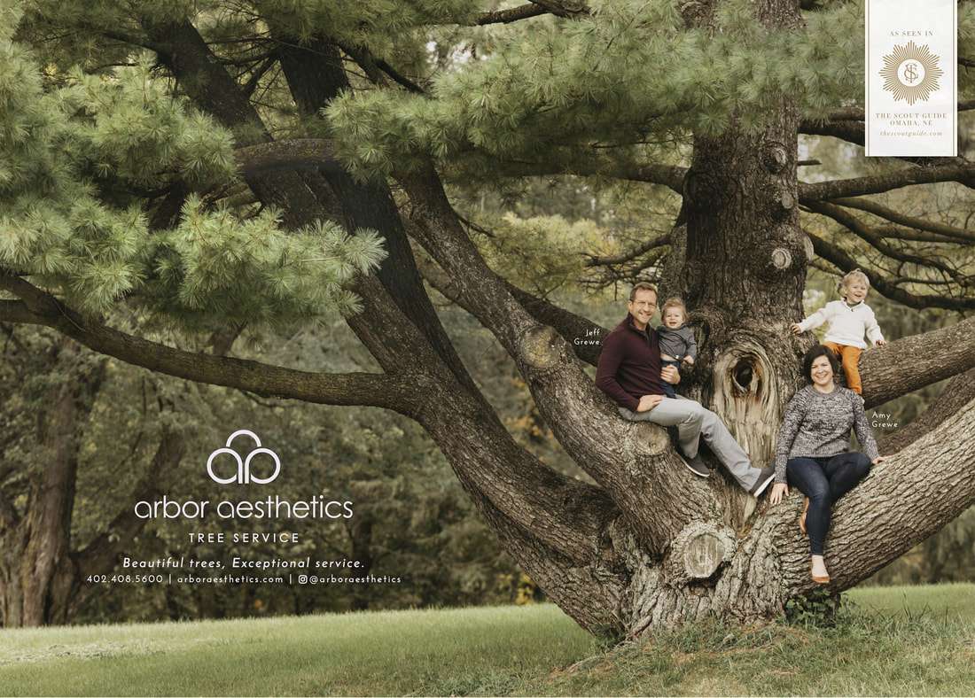 The Scout is Out! Scout Guide 2020 Release - Arbor Aesthetics Tree ...