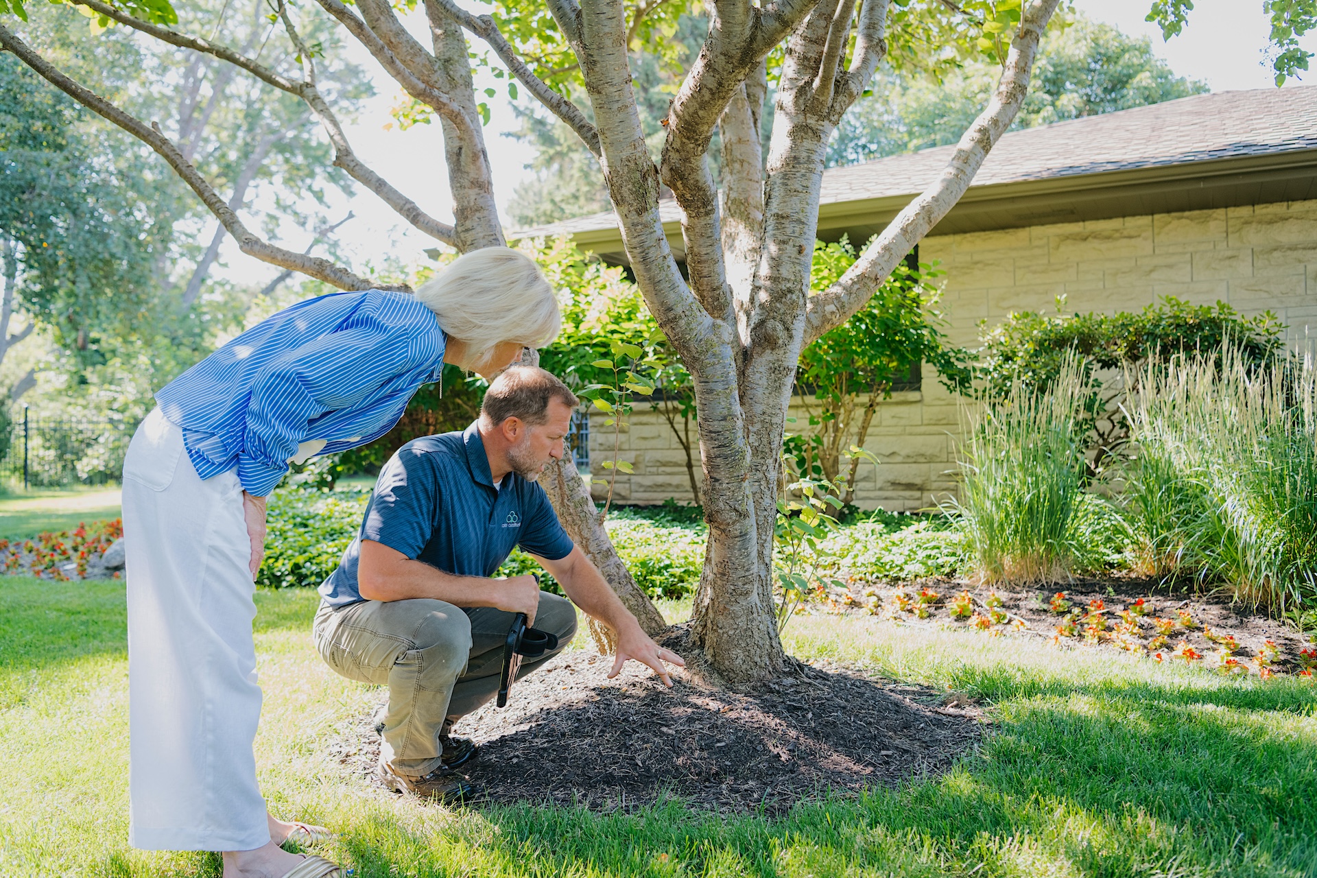 Arborist Consultation: Tree Services in Omaha